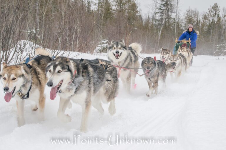 Dog Sledding Experiences | Points Unknown